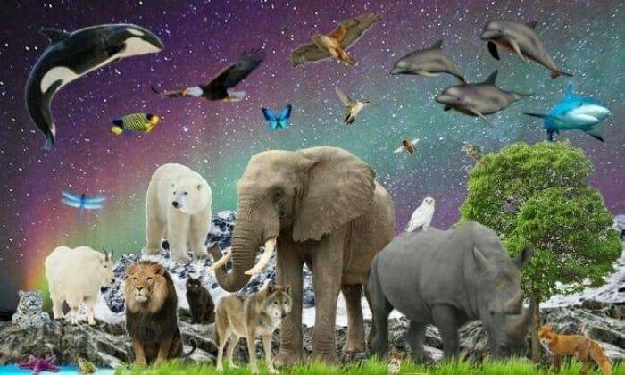 Gratis: Guía de tu Animal de Poder | Mada De Descubriendo Saturno