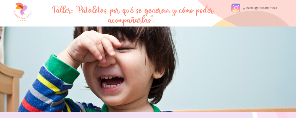 Taller: "Pataletas por qué se generan y cómo poder acompañarlas ...