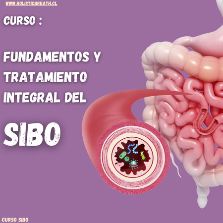 CURSO: Fundamentos y Tratamiento Integral del SIBO | Espacio Nutritivo 360°