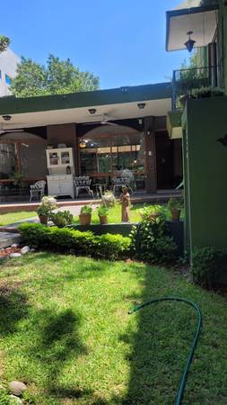 Alejandro Cepeda, Psicología